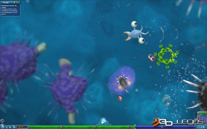 All Categories - radarloadcrack